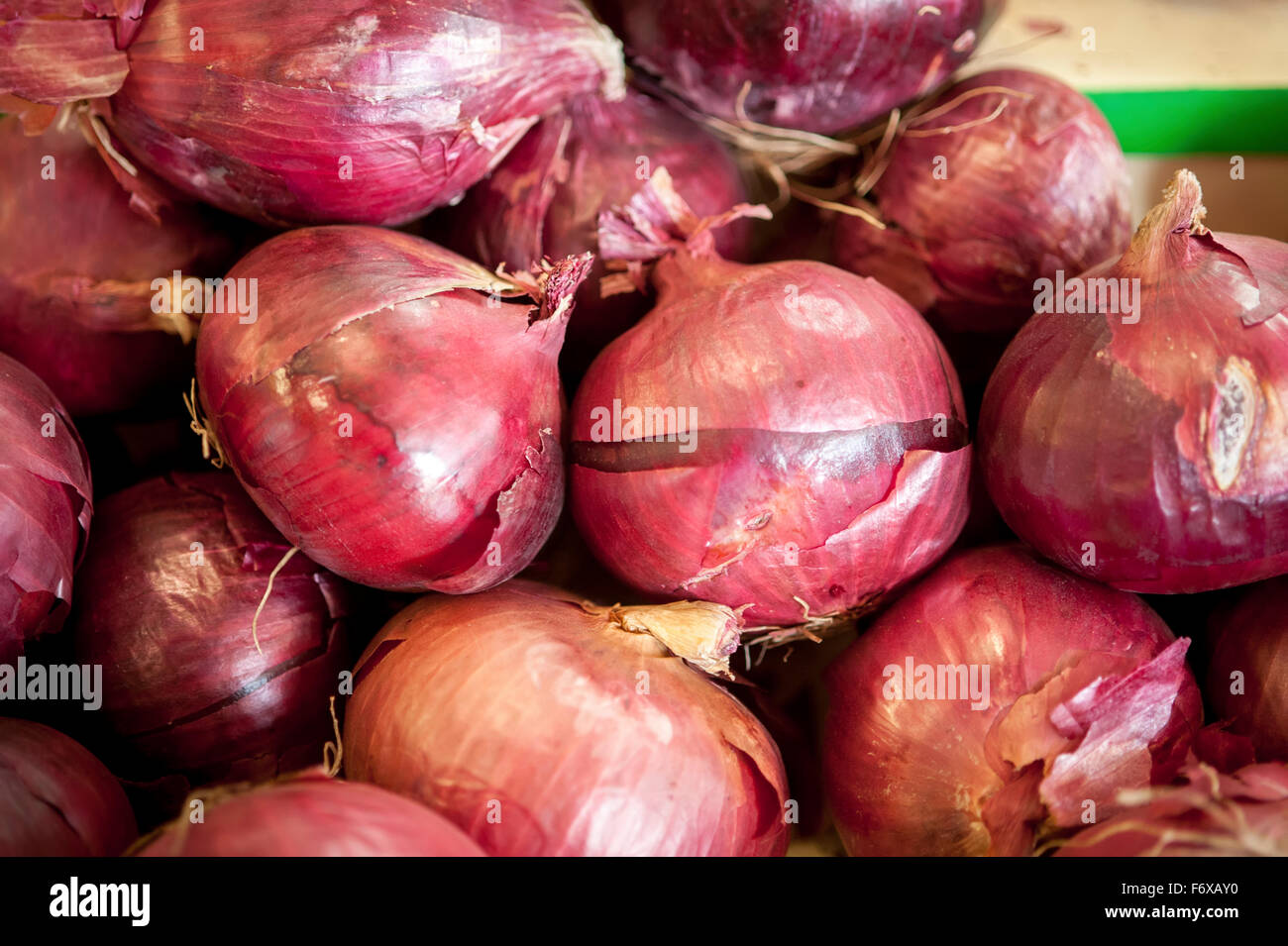 One large onion hi-res stock photography and images - Alamy