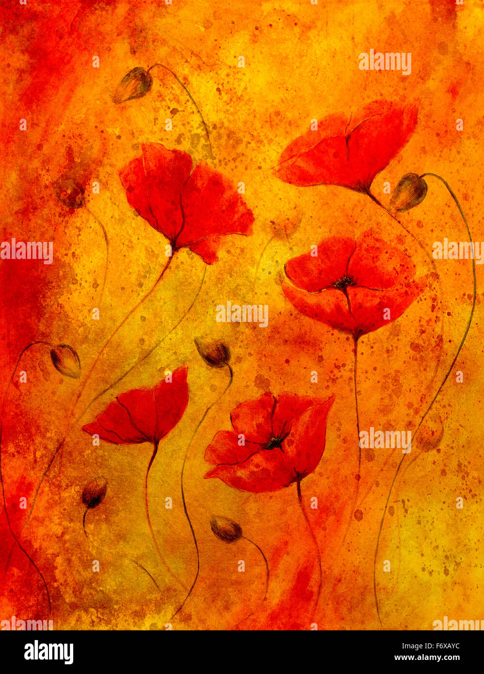 Red poppy on color background. Red poppies. Red flower on abstract ...