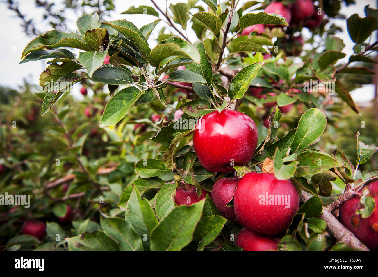 Elkton maryland hi-res stock photography and images - Alamy
