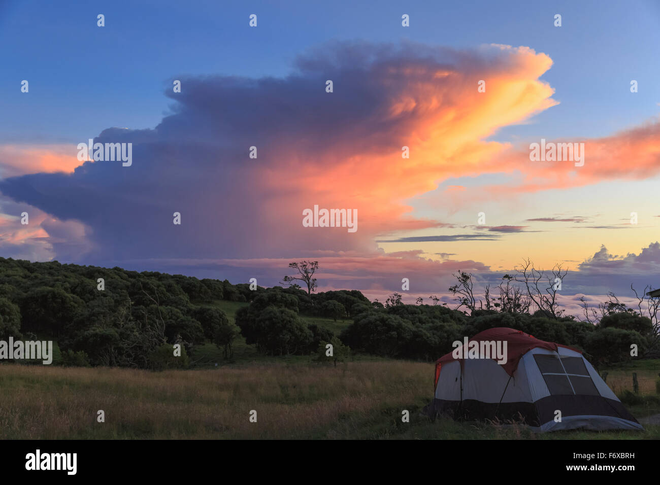 Camp site at Keanakolu State Park with cumulonimbus sunrise clouds ...