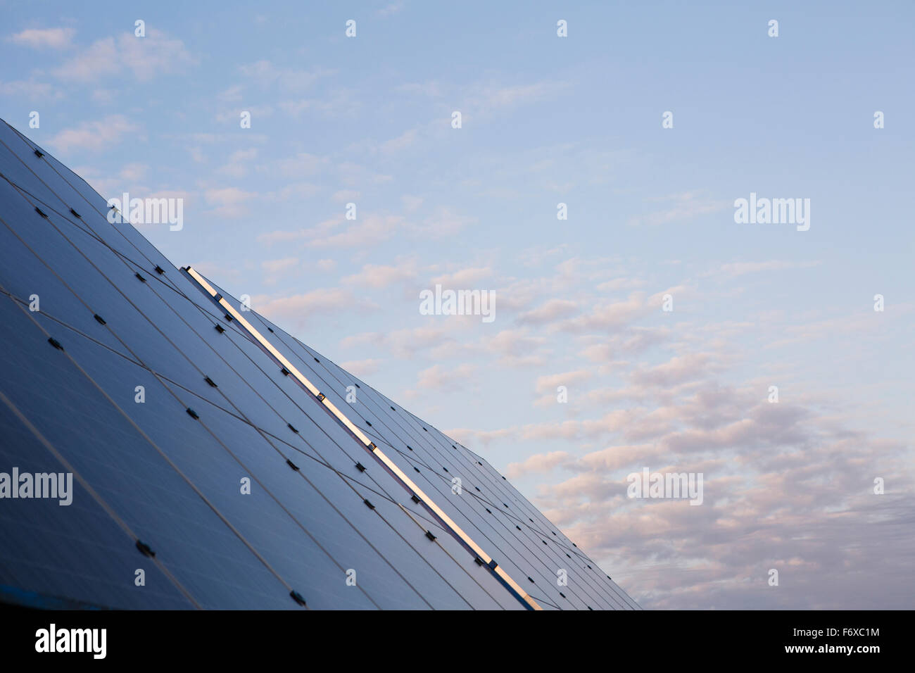 Bloomfield canada hi-res stock photography and images - Alamy