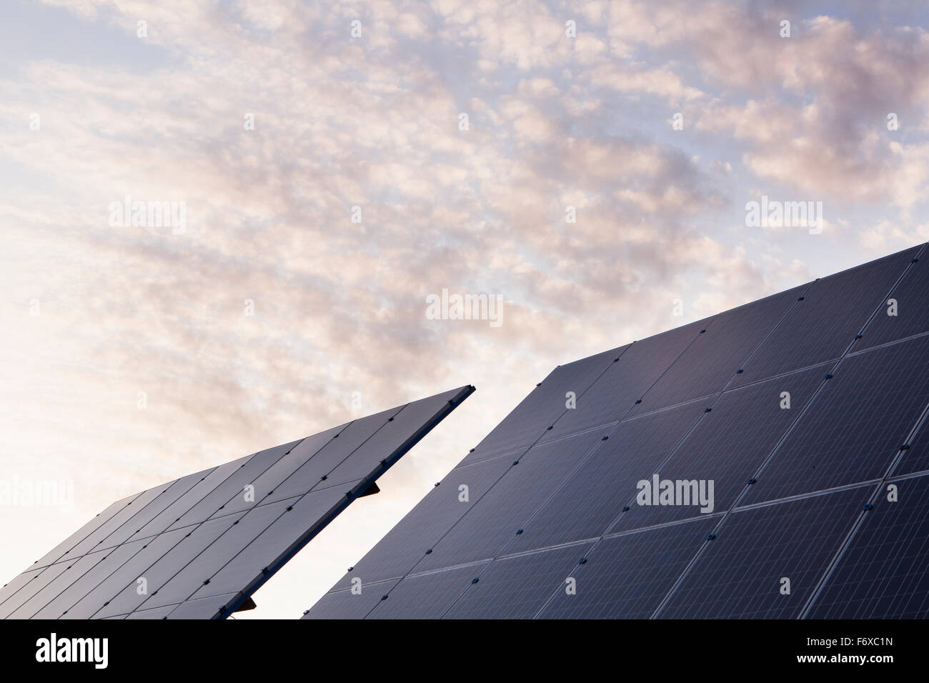 Bloomfield canada hi-res stock photography and images - Alamy