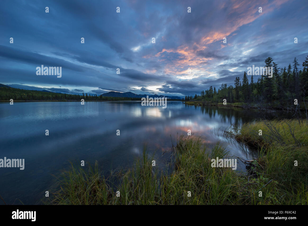 Jackfish river hi-res stock photography and images - Alamy