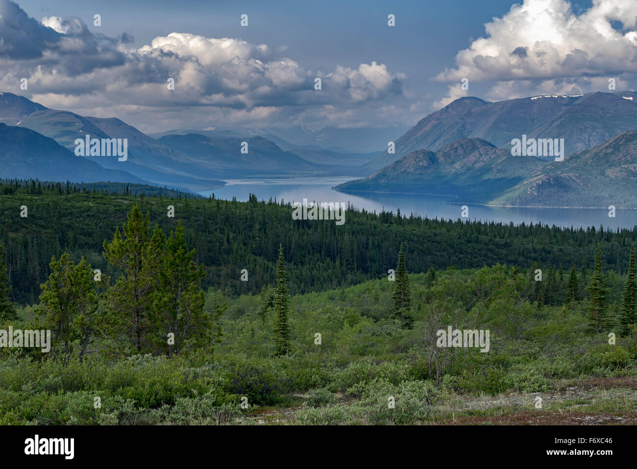 Fish Lake, near Whitehorse; Yukon, Canada Stock Photo - Alamy