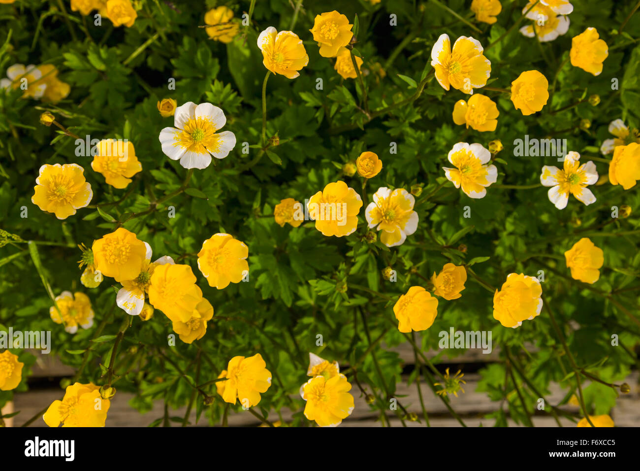 Popof island hi-res stock photography and images - Alamy