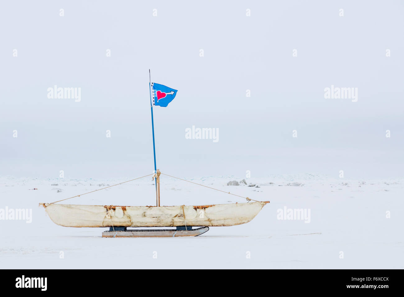 A white Umiak skin boat sits on skids on the sea ice with a flag flying ...