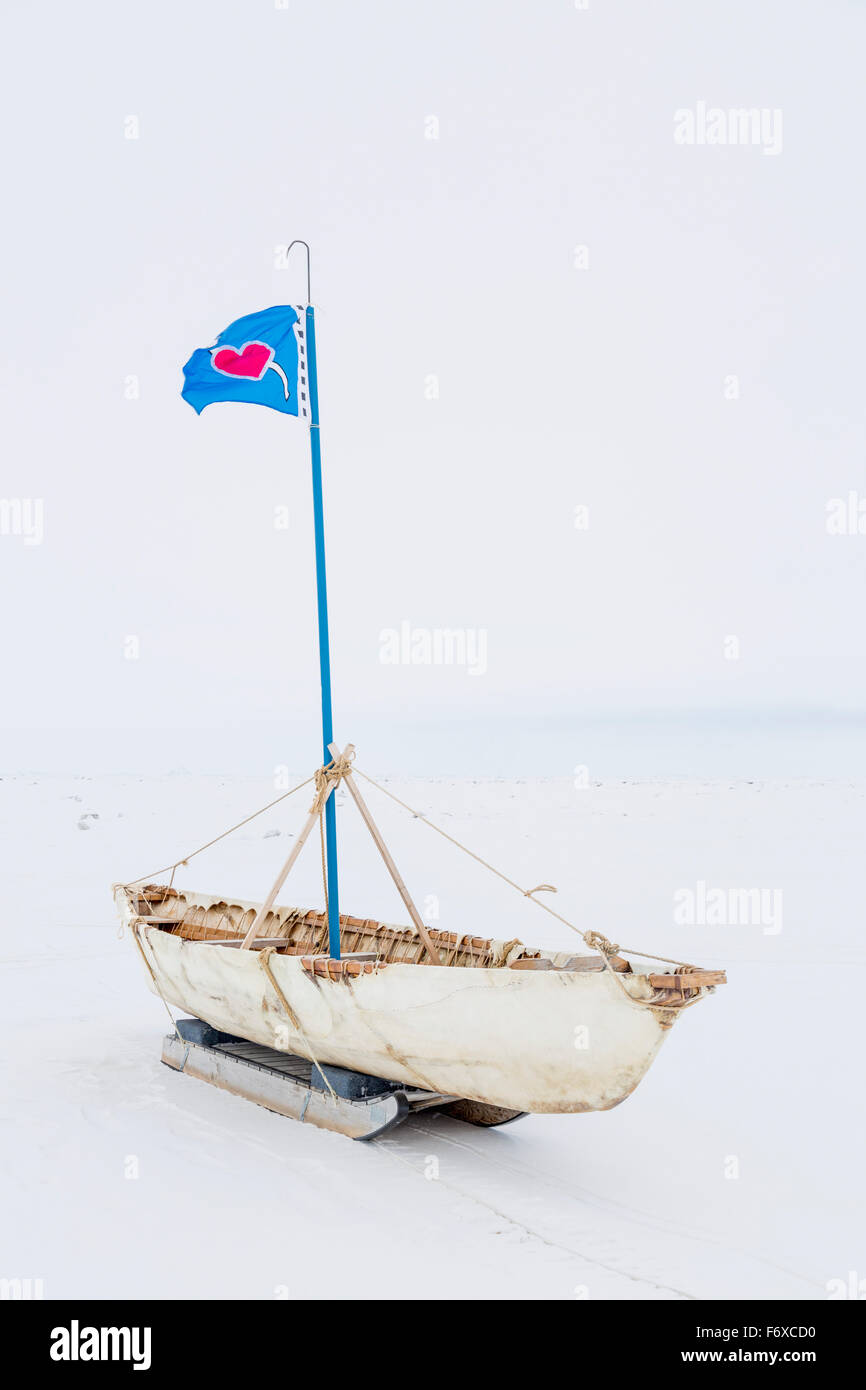 A white Umiak skin boat sits on skids on the sea ice with a flag flying ...