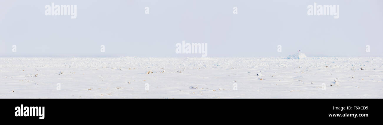 Panorama view of frozen sea ice on an overcast day, Barrow, North Slope ...
