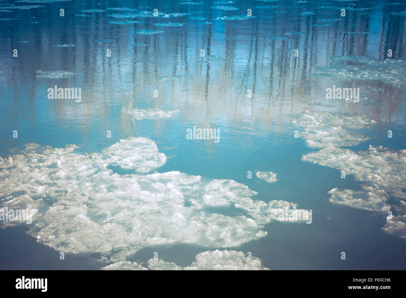 Floating ice chunks in an Alaskan river in fall before freeze-up with ...