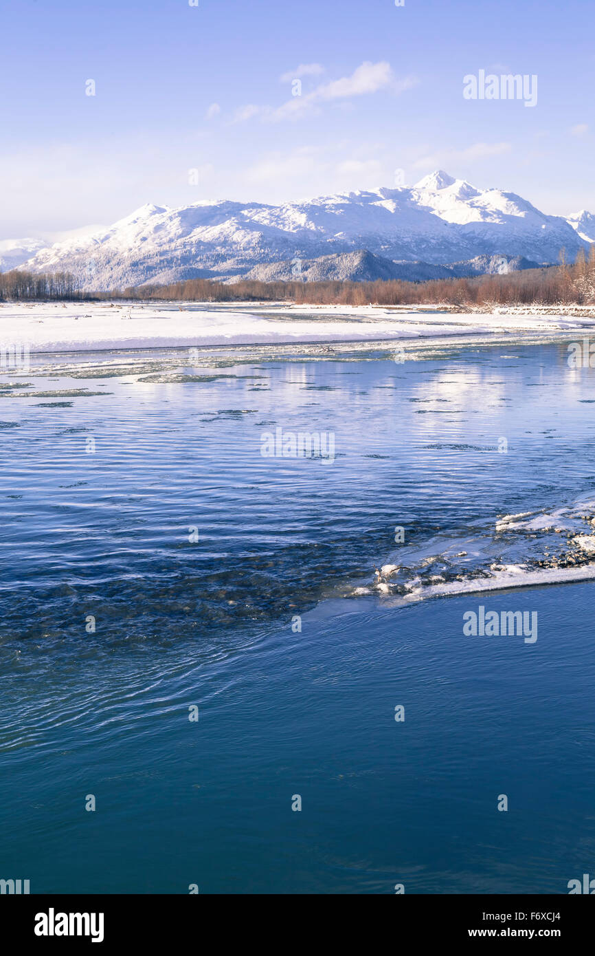Flowing Chilkat river in Southeast Alaska in early winter before freeze ...