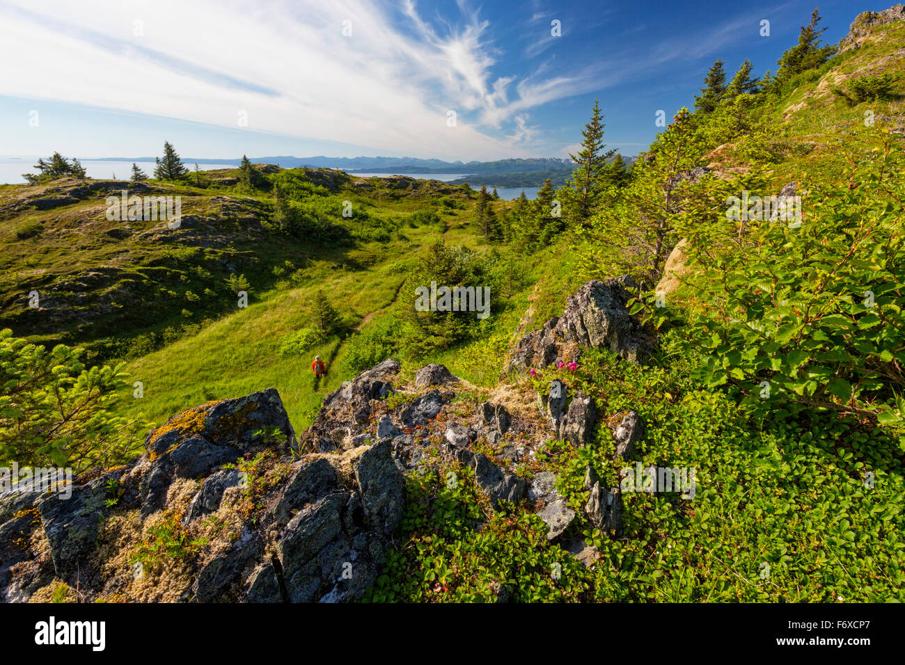 Hiker on a trail on the alpine hillside of Pillar Mountain, Kodiak ...