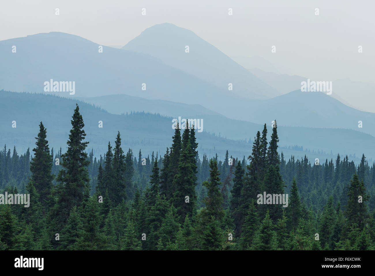 Smoke from wildfires in central Alaska envelopes the Teklanika River ...
