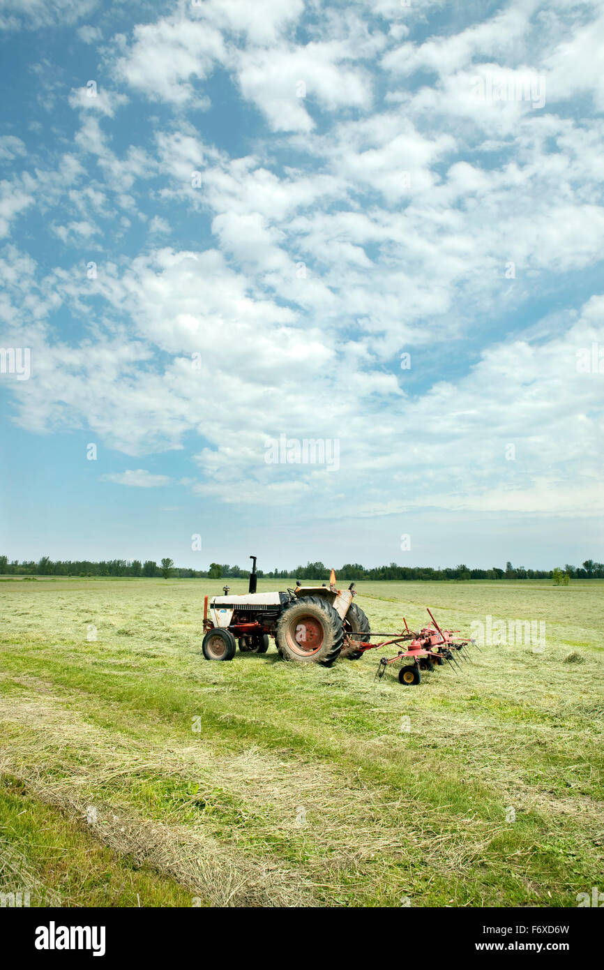 A farm tractor with a harrow in a cut hay field; Quebec, Canada Stock ...