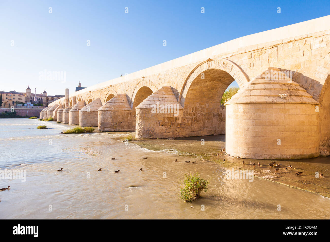 Cordoba Bridge in Spain - sunset time, detail of 16 archades Stock ...