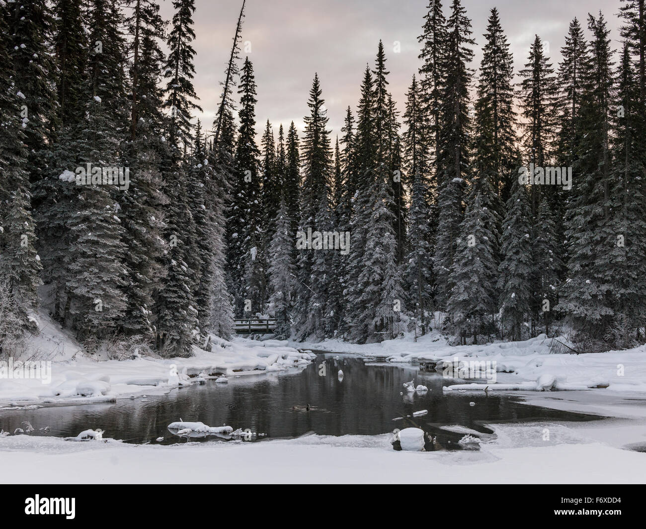 Frozen melting emerald lake hi-res stock photography and images - Alamy