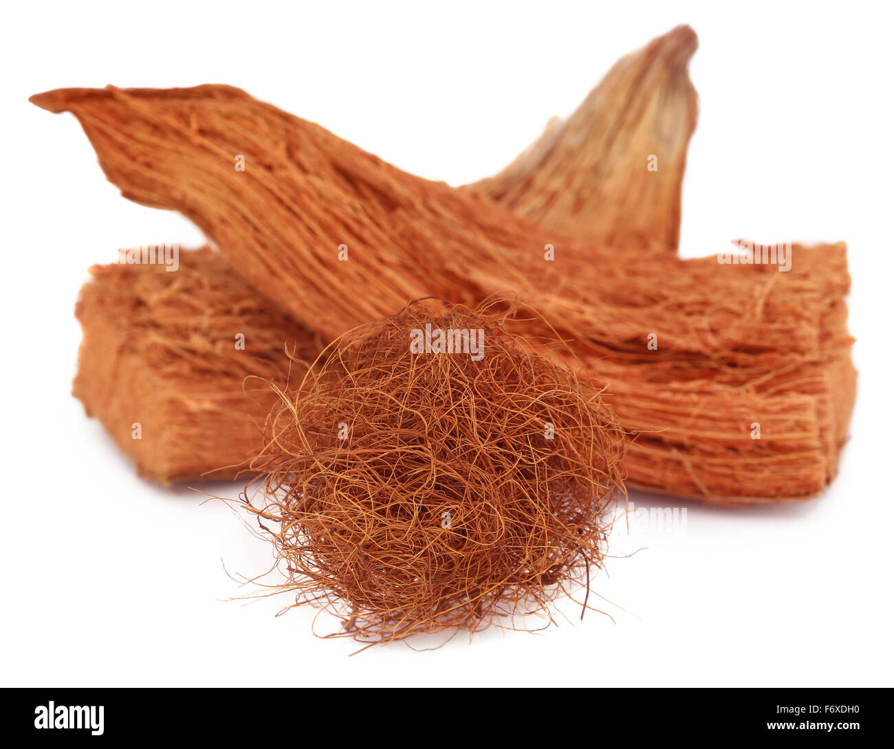 Coir Fiber High Resolution Stock Photography and Images - Alamy