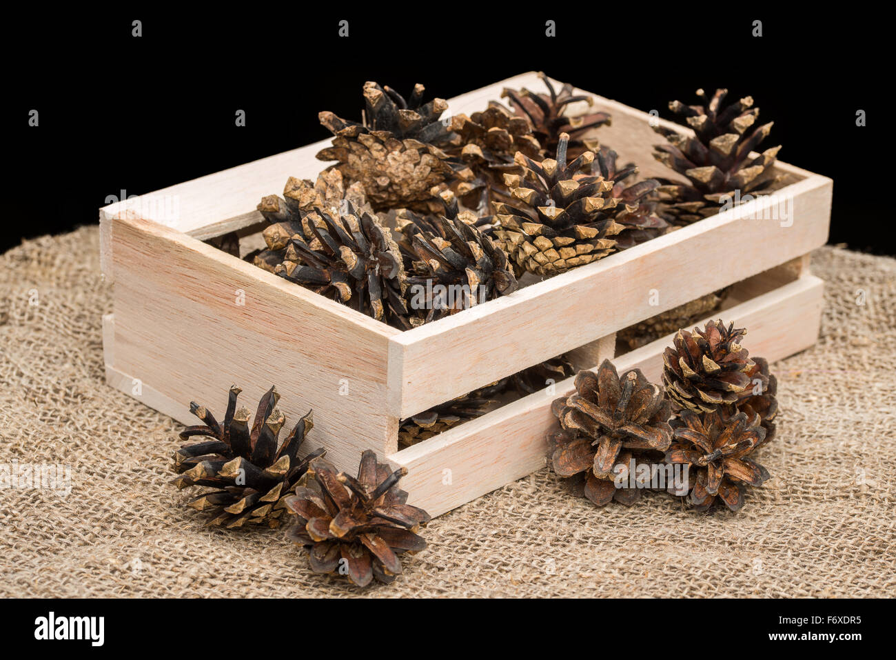 Pine cones in box Stock Photo - Alamy