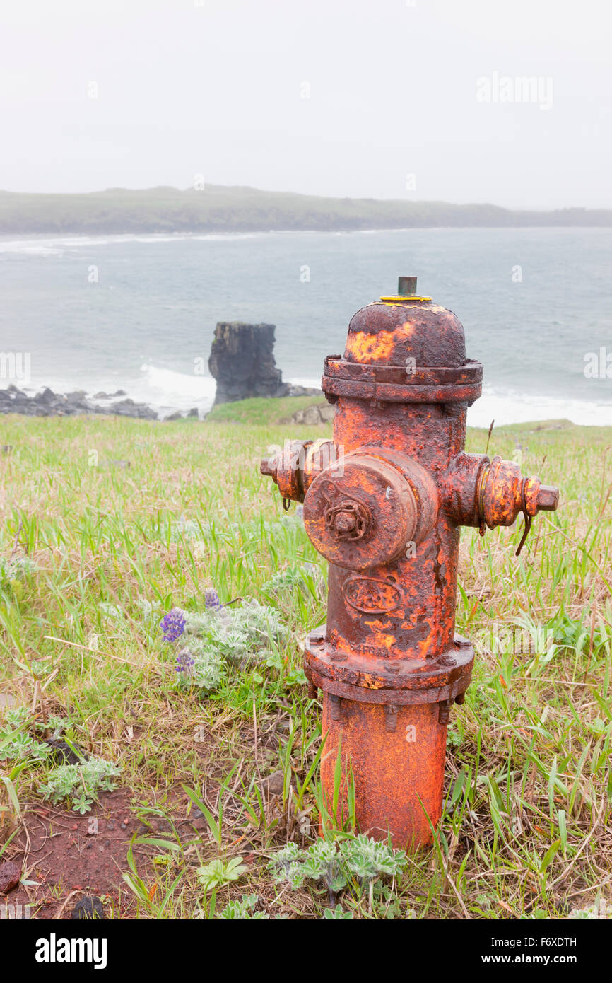 A weathered fire hydrant stands among lupine on the tundra on the coast ...