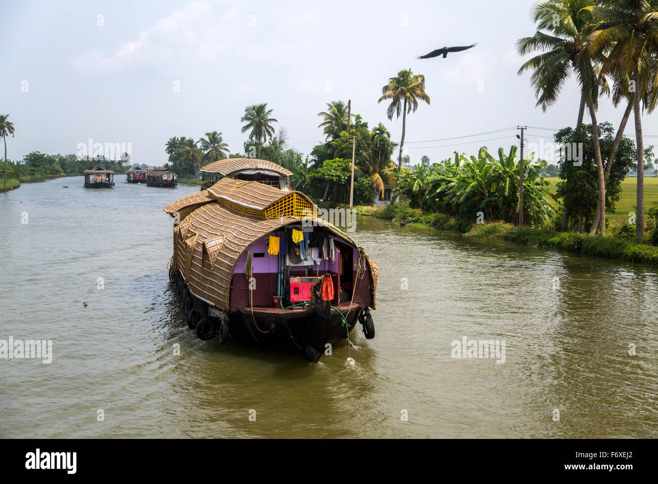 Kerala boats hi-res stock photography and images - Alamy