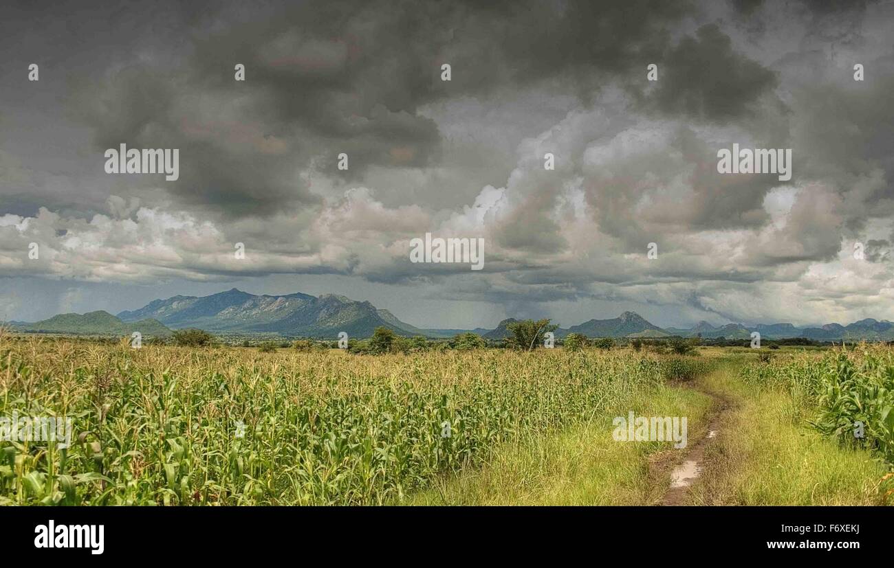 Dedza mountain seen from Nyombe village in Malawi's rainy season Dedza ...