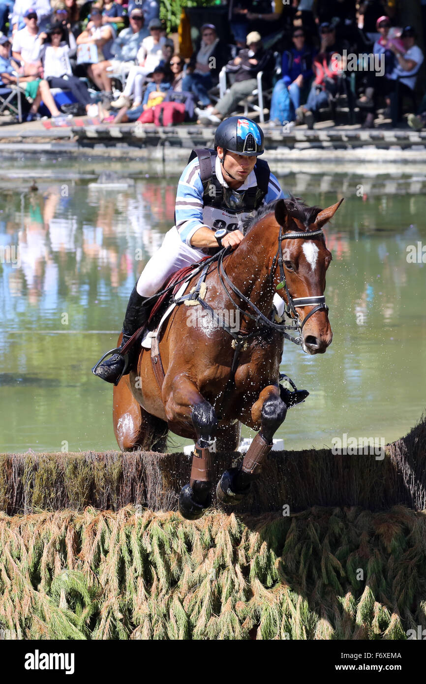 Shane Rose riding Virgil clears a jump during the International Three ...