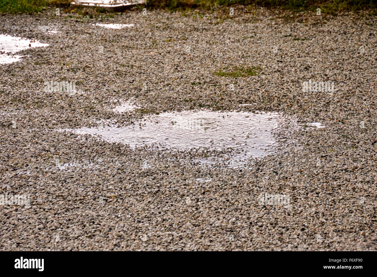 Puddle of water and raindrops Stock Photo - Alamy