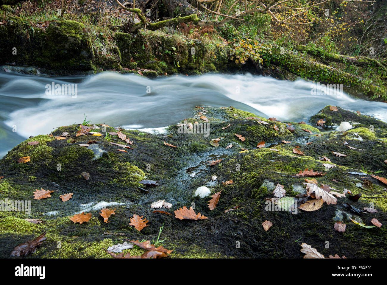 Ystradfellte walkers hi-res stock photography and images - Alamy