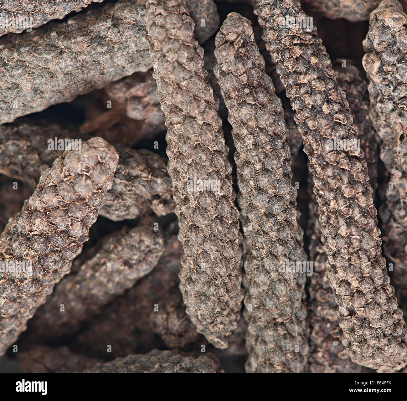 Piper longum background Stock Photo - Alamy