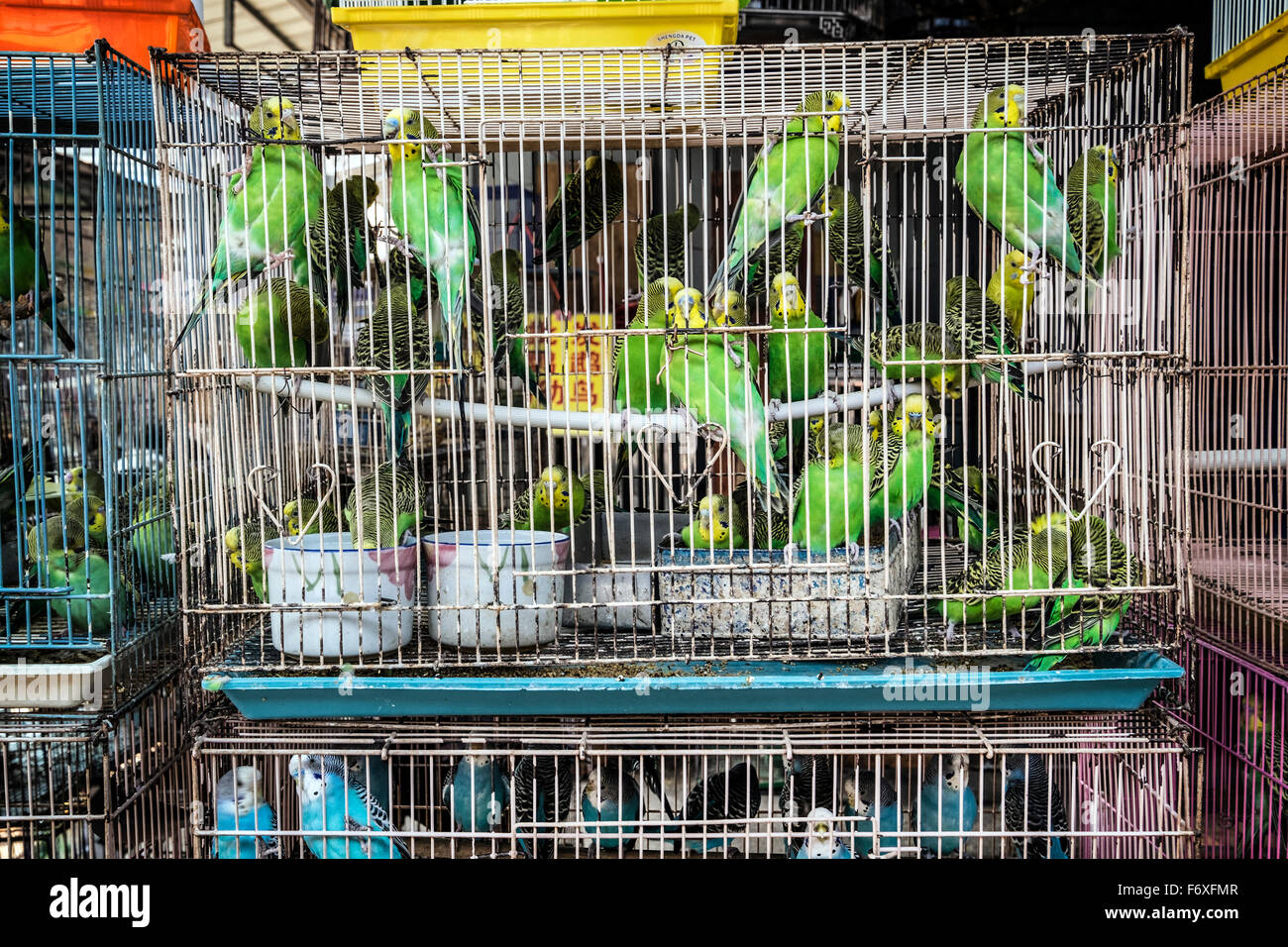 Dog world trade centre hi-res stock photography and images - Alamy