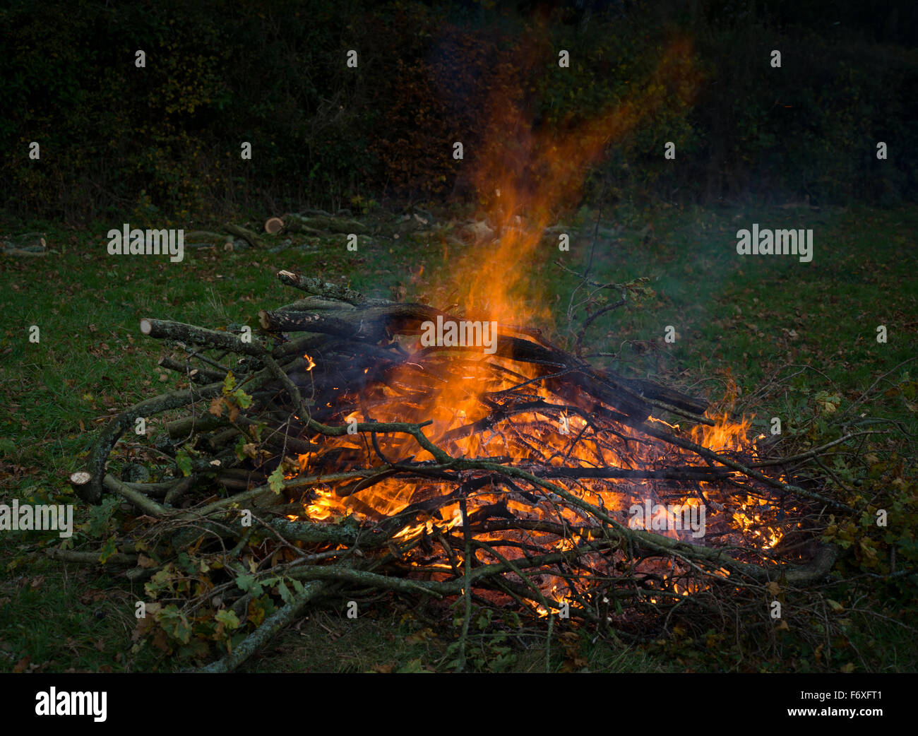 Bonfire of oak branches in a field. Dark autumnal day. Orange flames ...