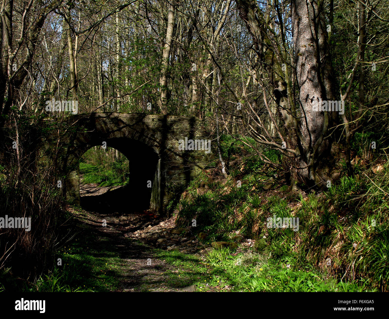 Woodland bridge hi-res stock photography and images - Alamy