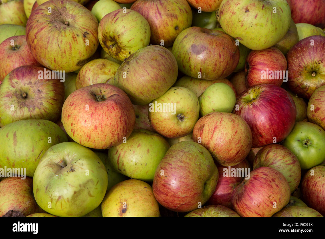 Apple bruise hi-res stock photography and images - Alamy
