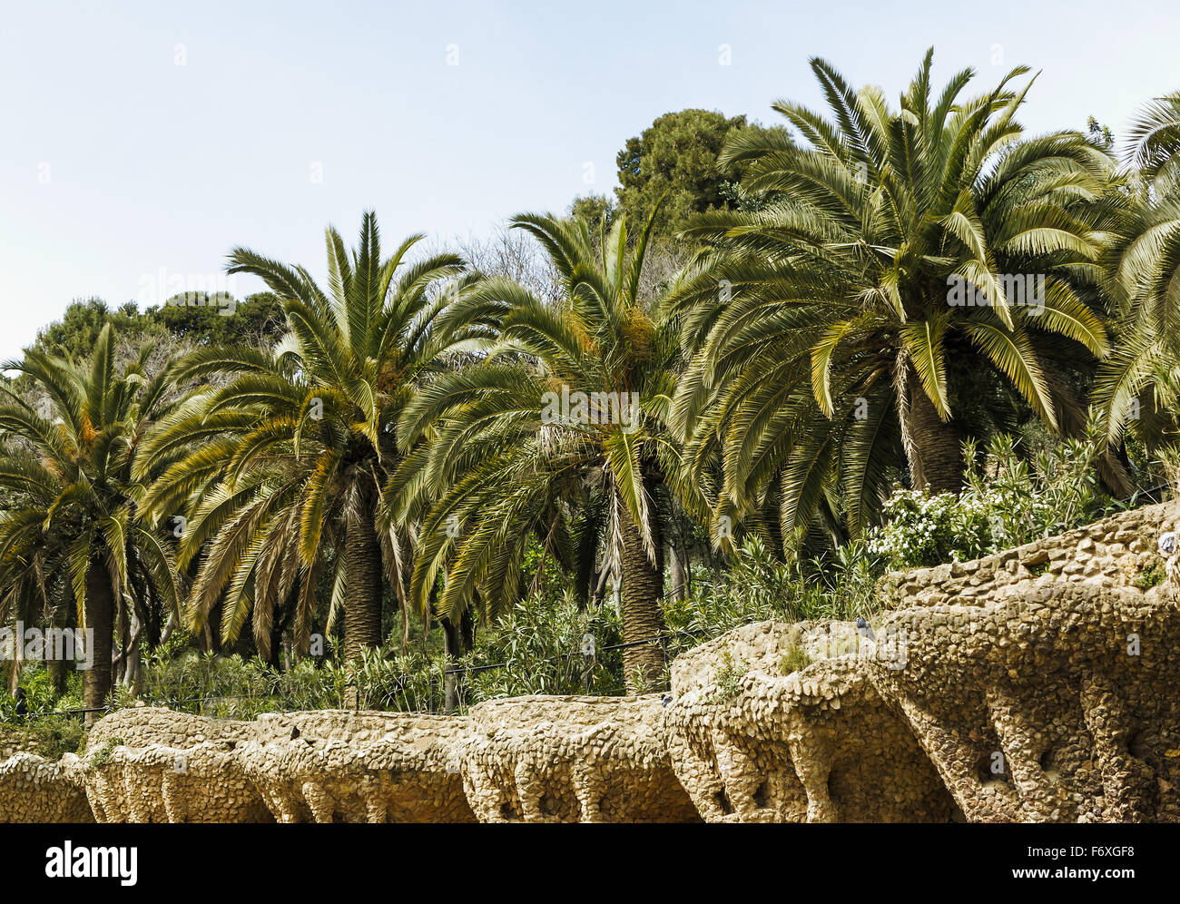 Palm trees in famous Park Guell Barcelona, Spain Stock Photo - Alamy
