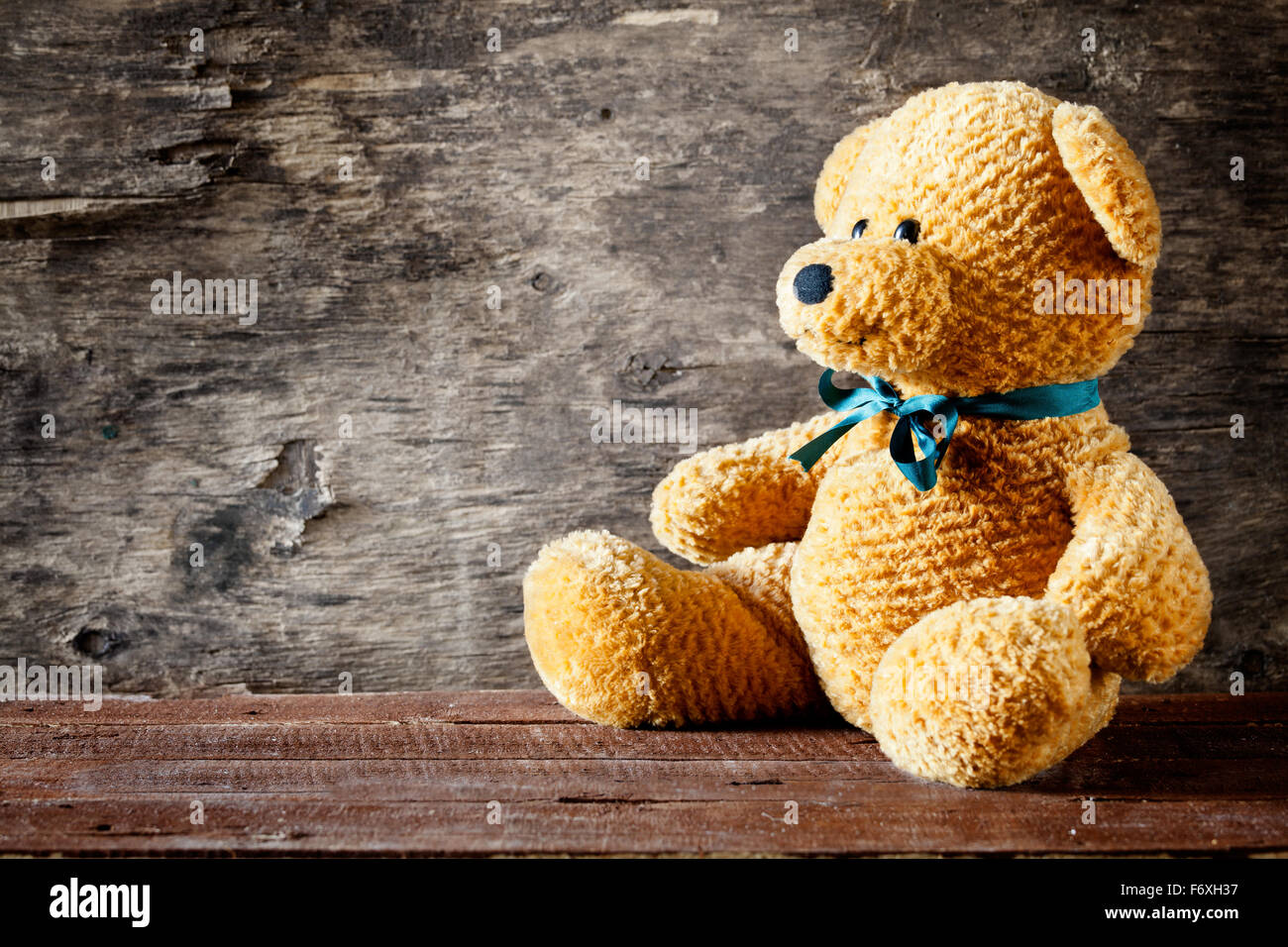 Close up of a cute teddy bear Stock Photo - Alamy