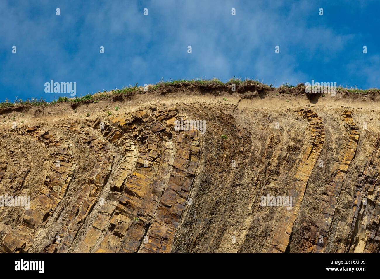 The distinctive vertical and folded Bude sandstone strata at Widemouth ...