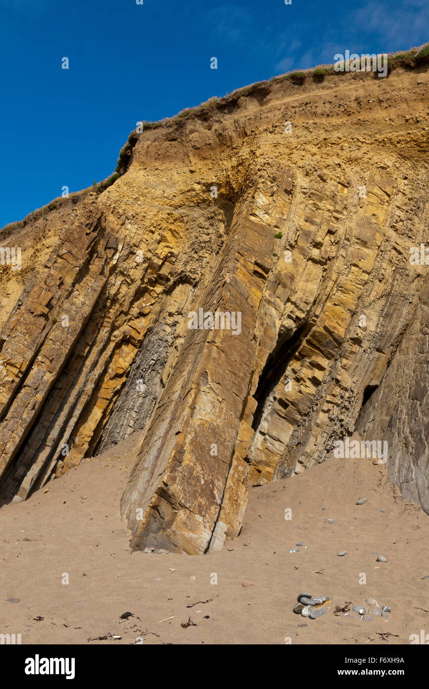 The distinctive vertical and folded Bude sandstone strata at Widemouth ...