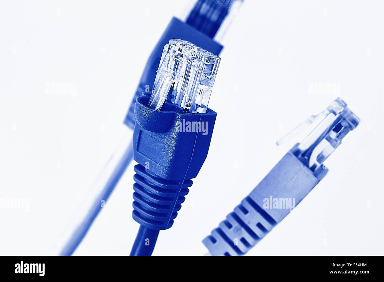 shallow DOF blue network cable with connectors Stock Photo - Alamy