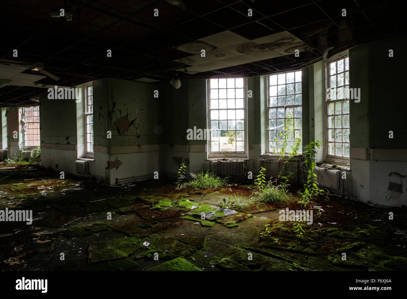 inside view of a deserted run down building Stock Photo - Alamy