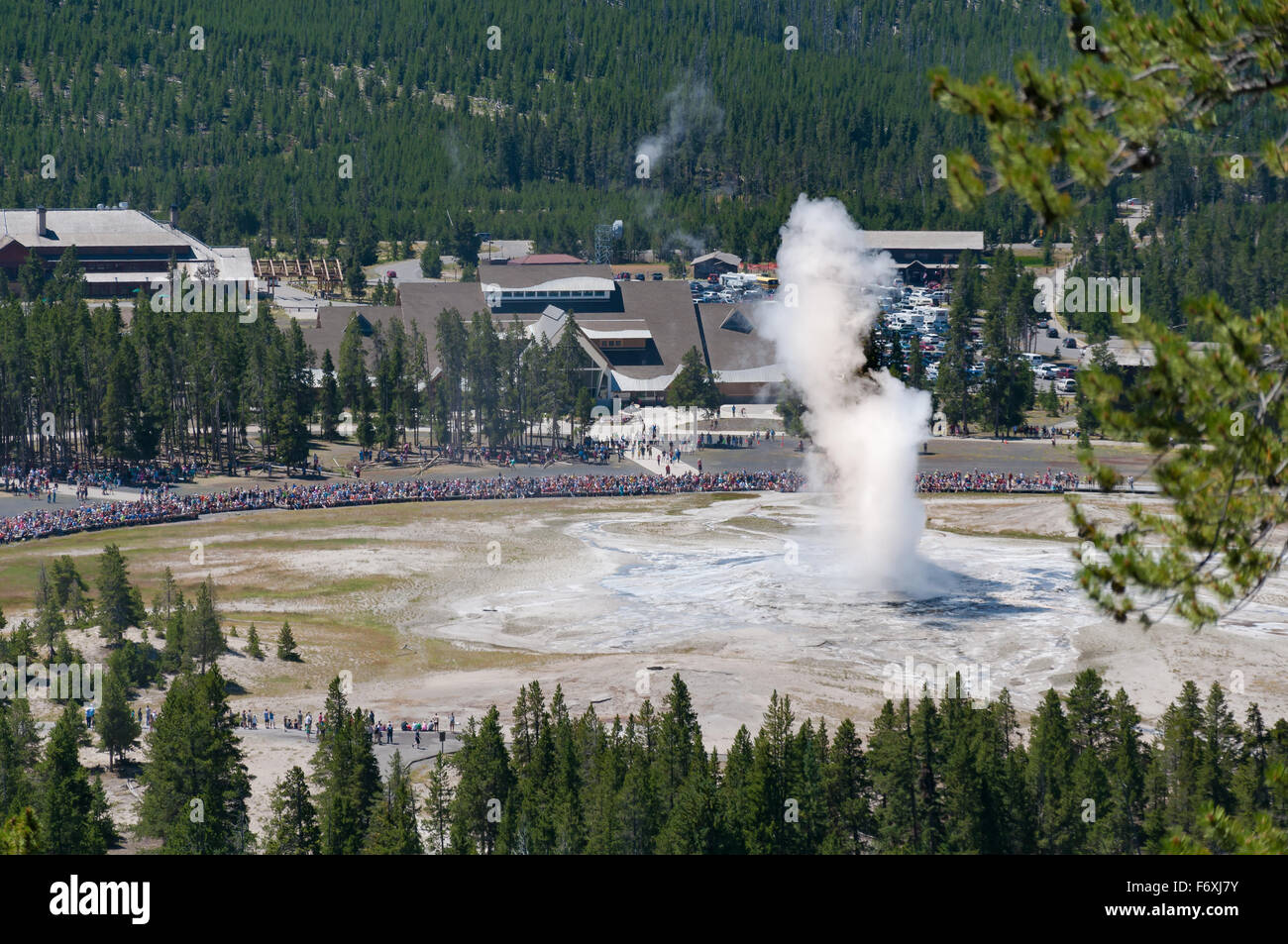 Evergreen pine overlook hi-res stock photography and images - Alamy