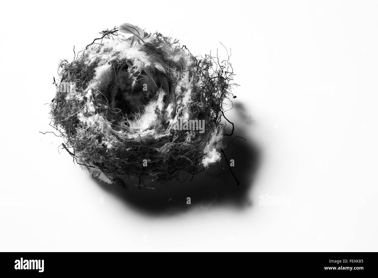 Small natural birds nest Cut Out Stock Images & Pictures - Alamy