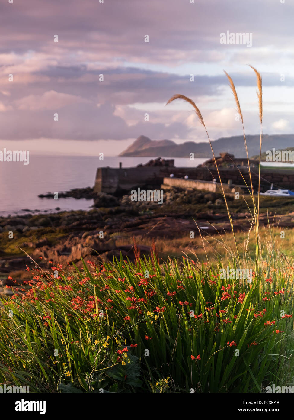 Isle arran corrie harbour hi-res stock photography and images - Alamy