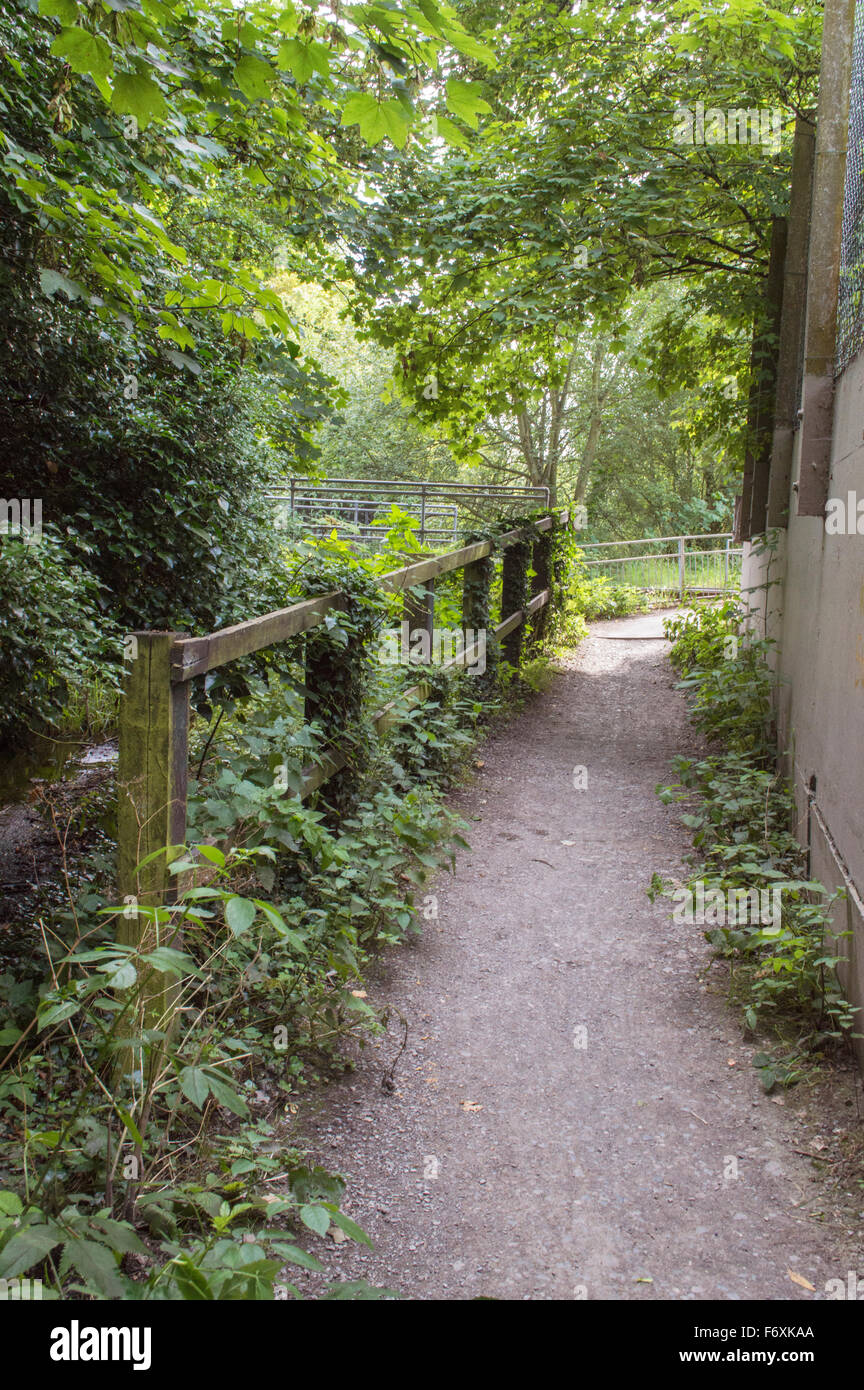 Green alleyway with wood hi-res stock photography and images - Alamy