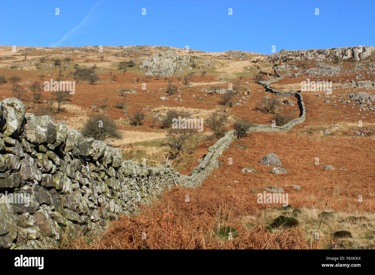 Dry stone wall and winter bracken in snowdonia national park Wales ...