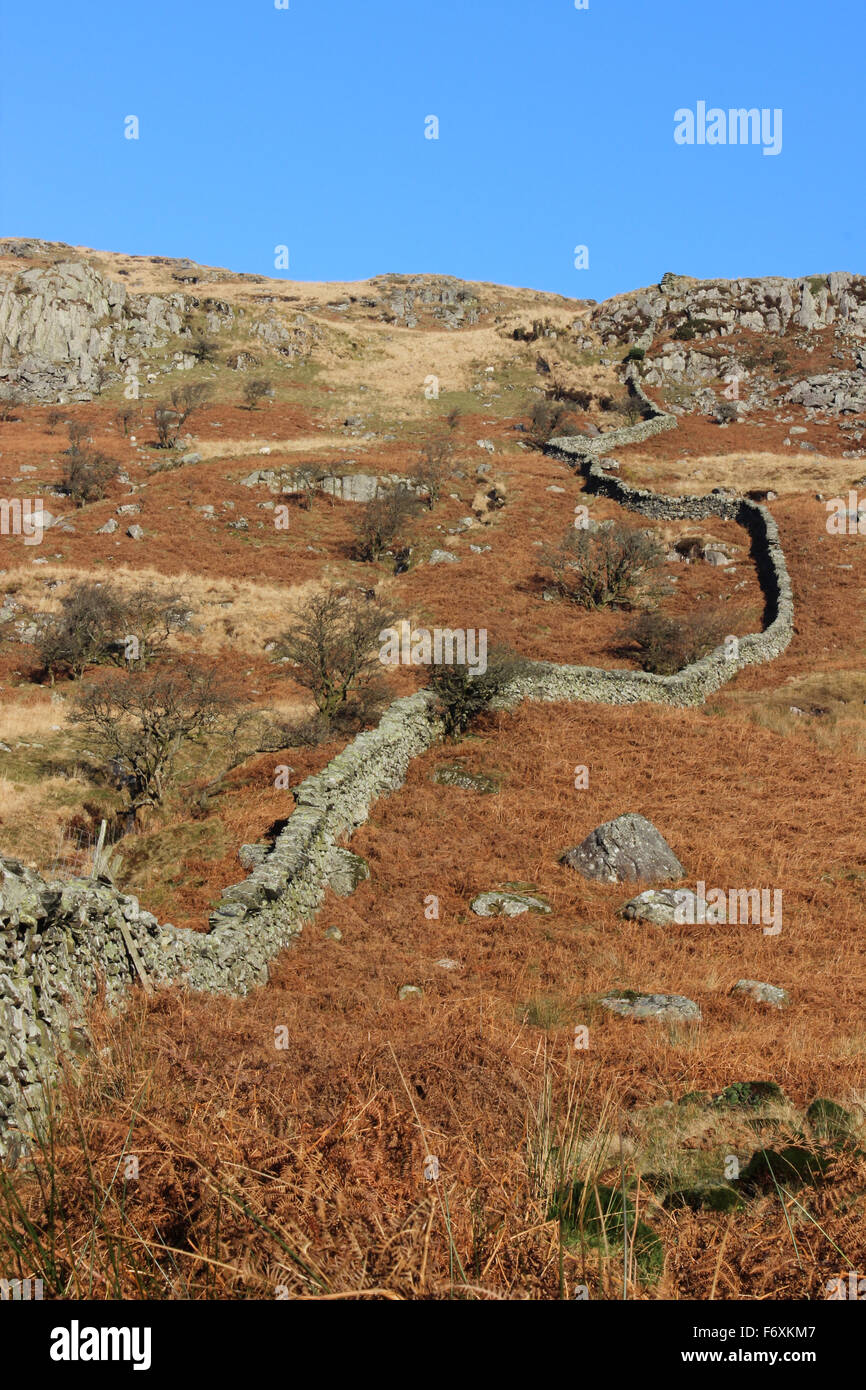 Dry stone wall and winter bracken in snowdonia national park Wales ...