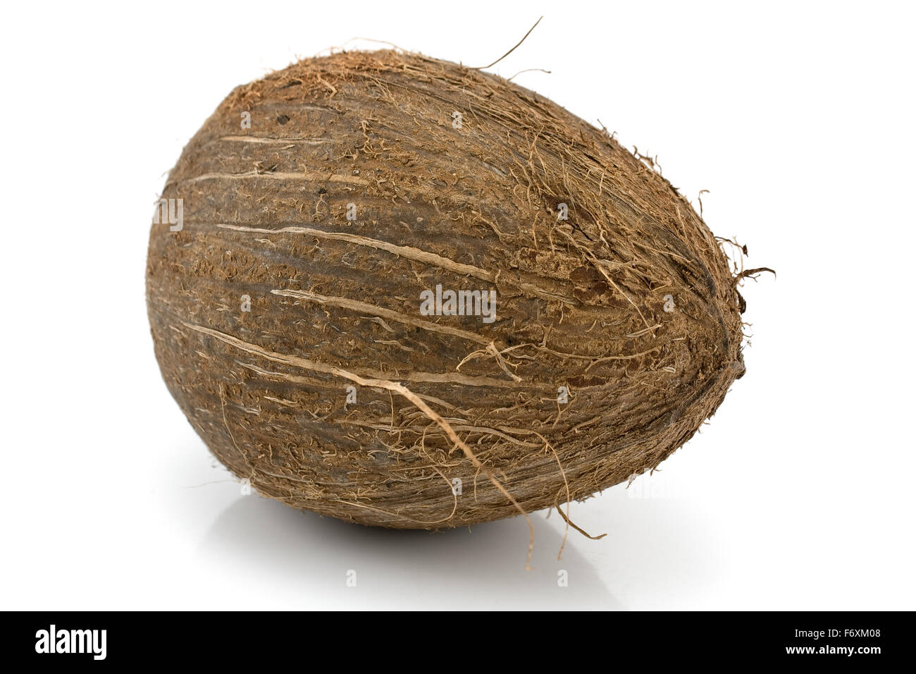 Coconut shade hi-res stock photography and images - Alamy