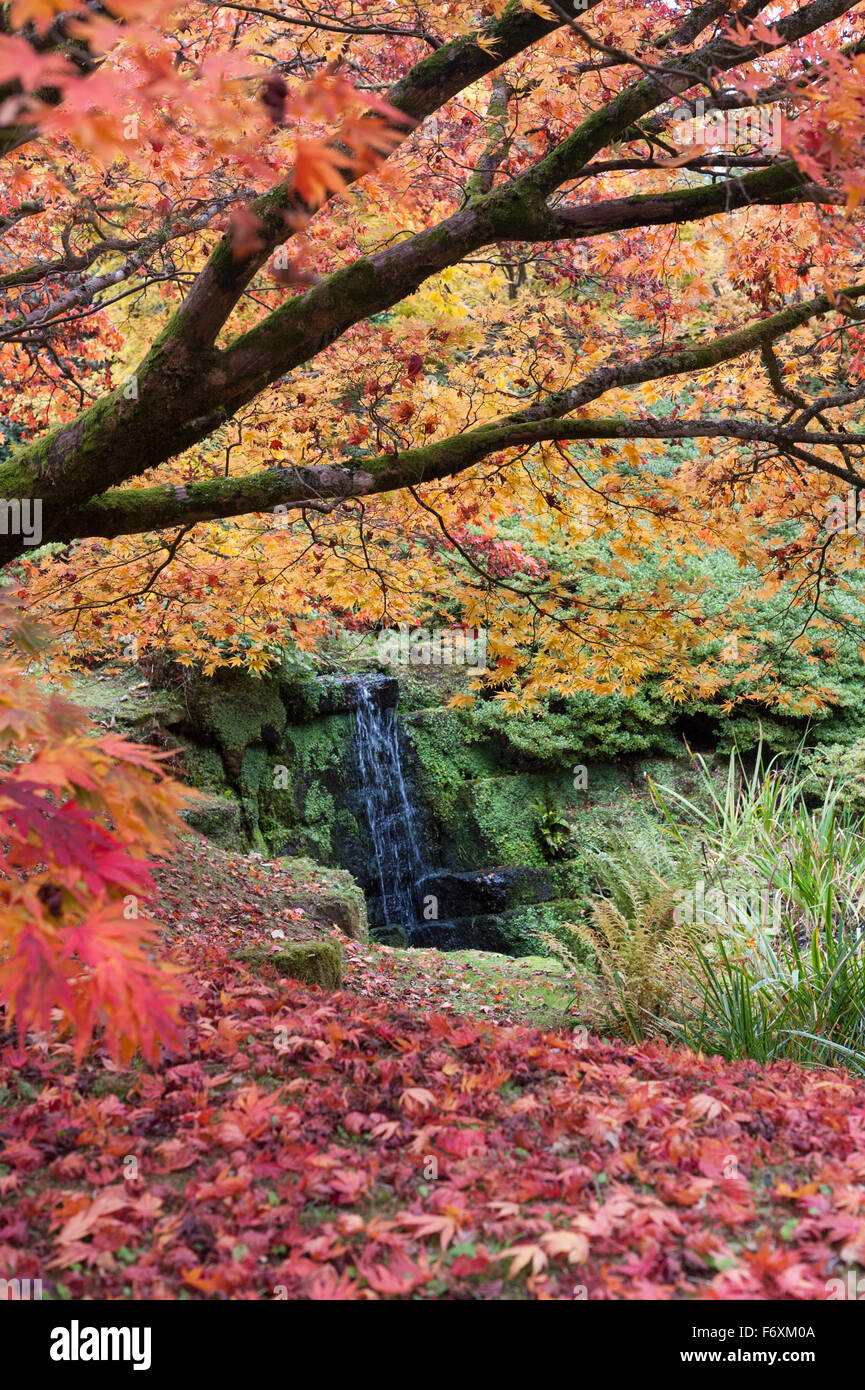 Red leaves waterfall hi-res stock photography and images - Alamy