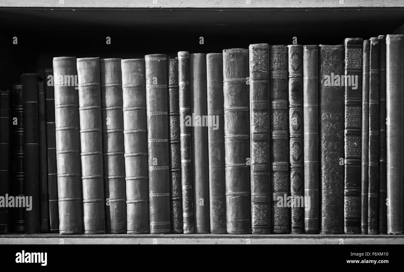 Literature bookcase Black and White Stock Photos & Images - Alamy
