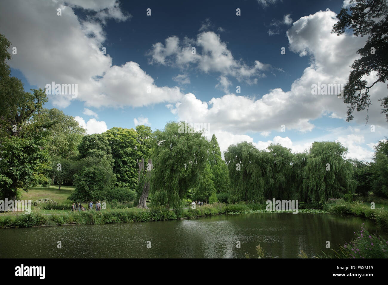 Sunny day in the country side, trees lining a lake Stock Photo - Alamy