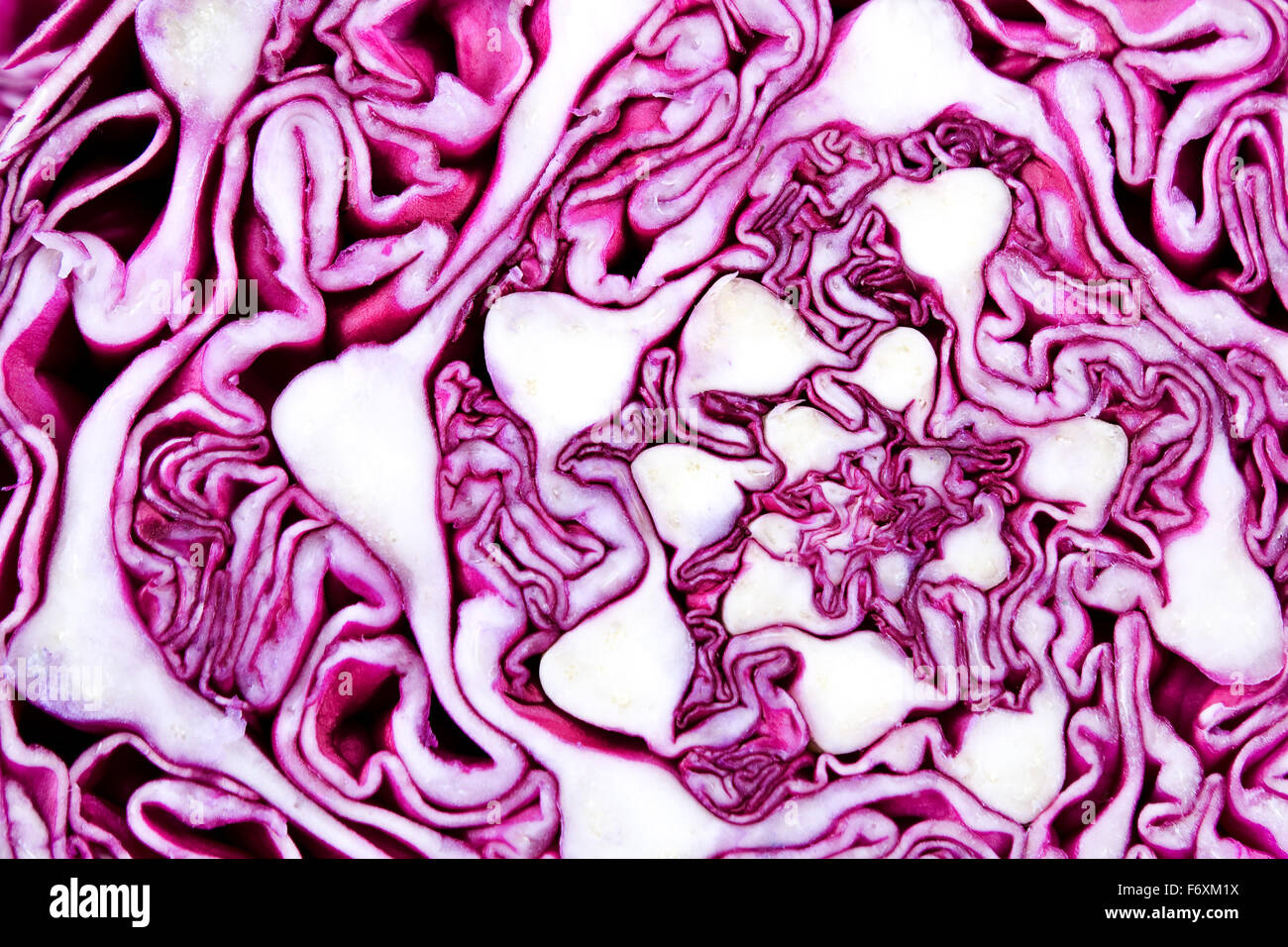 Red cabbage detail background Stock Photo - Alamy