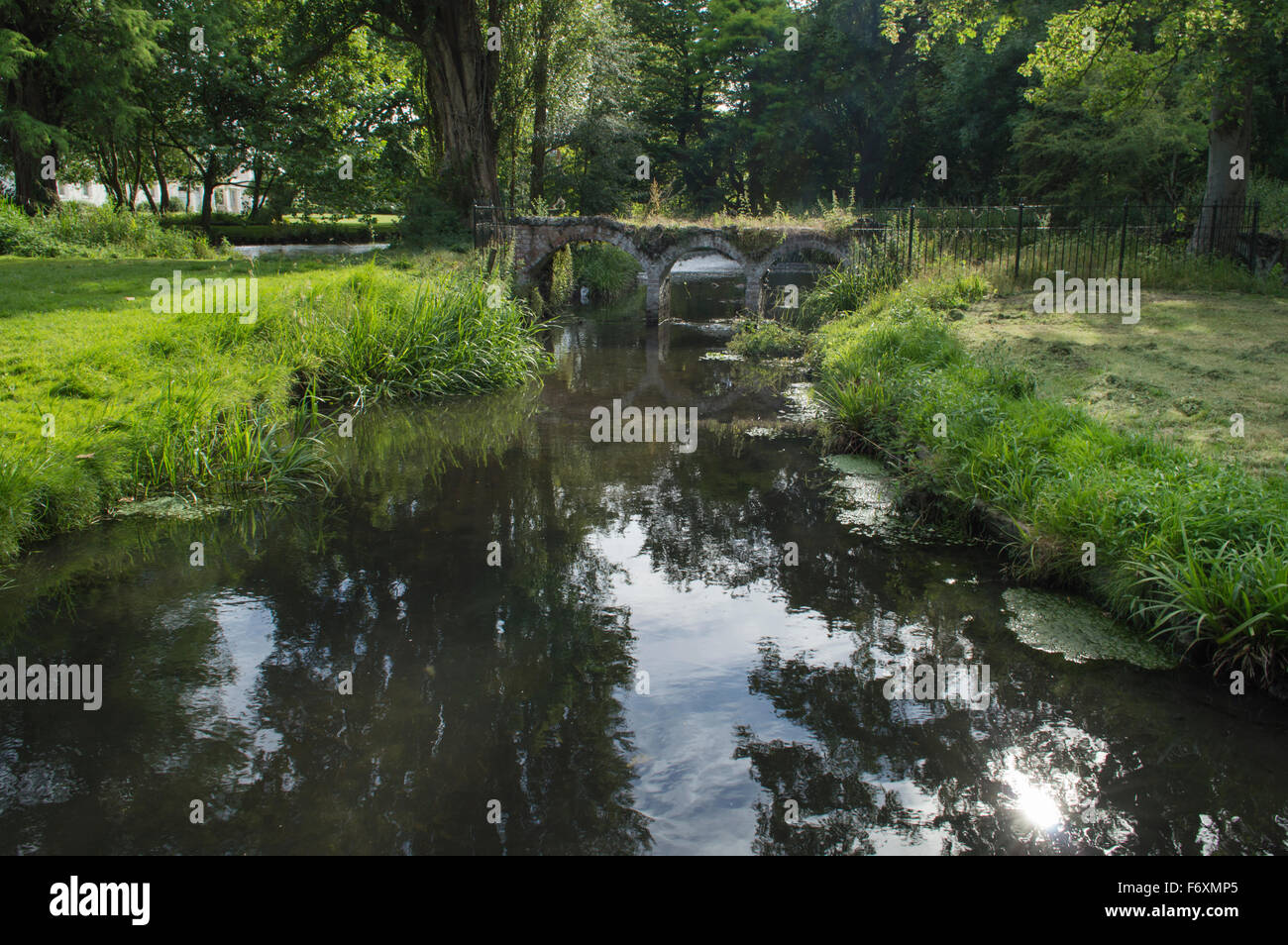 Stream summer sun water hi-res stock photography and images - Alamy